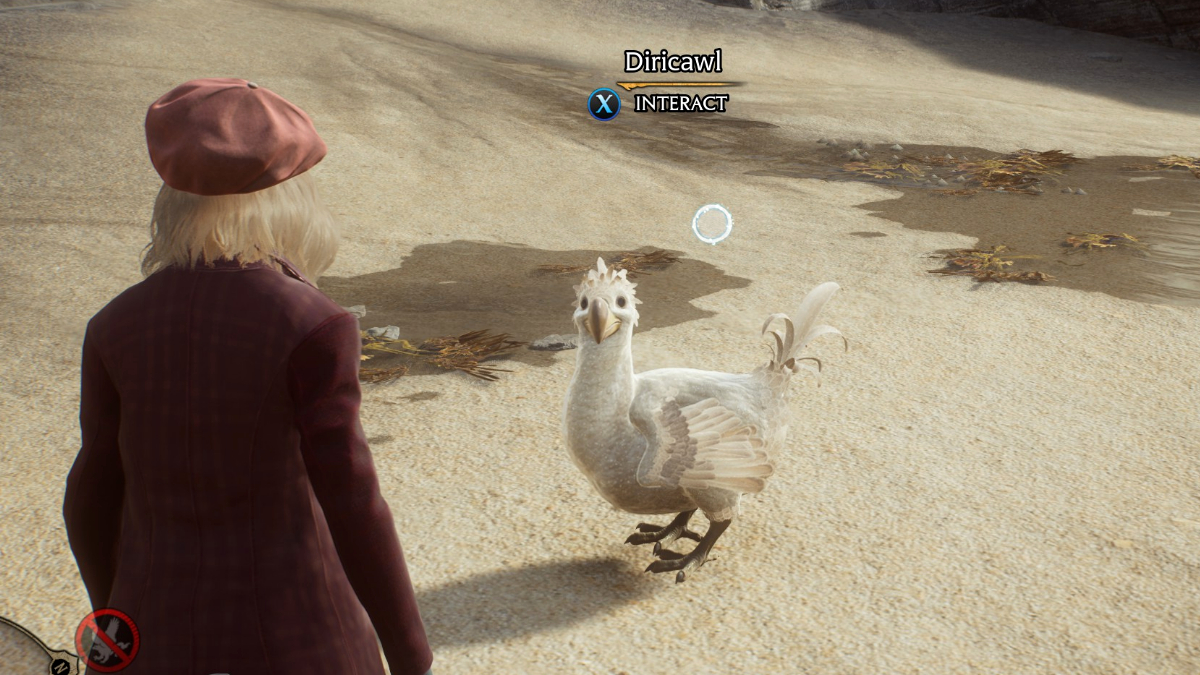 Hogwarts Legacy: All Shiny Beast Colors & How To Get Them - Gamepur