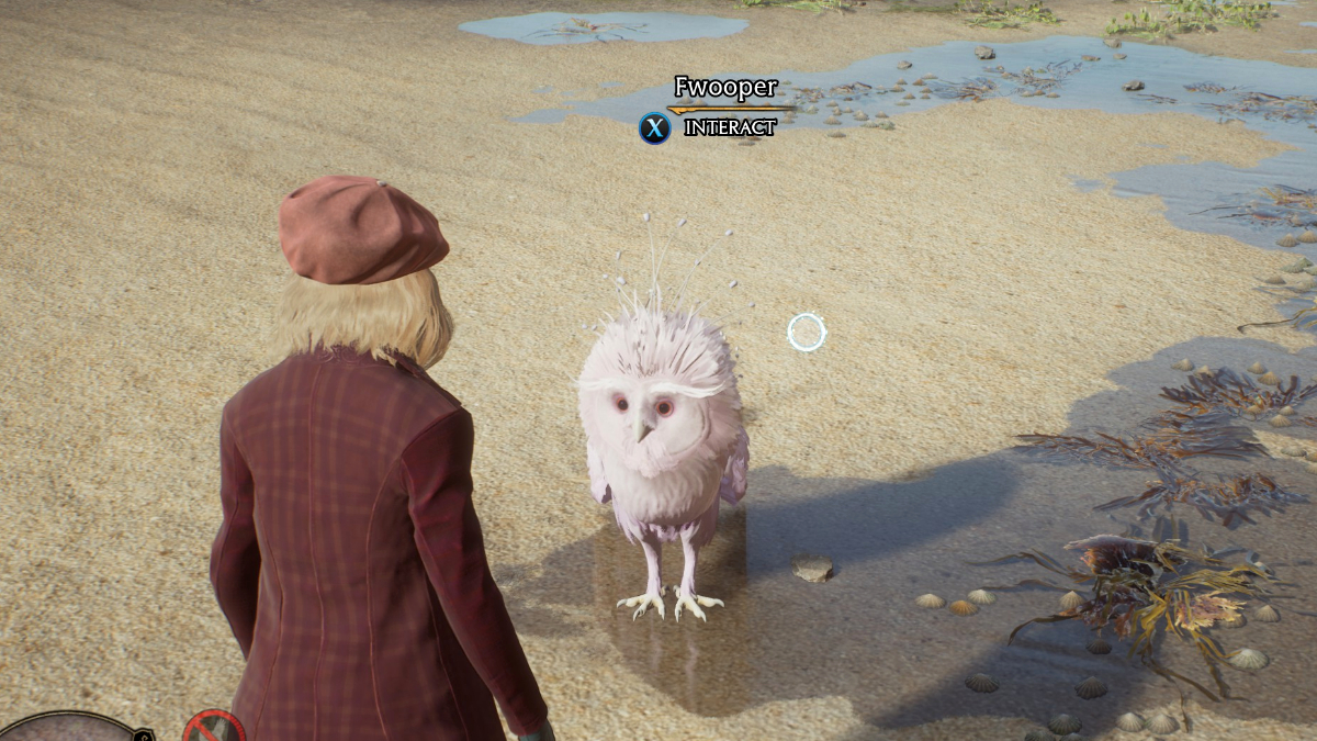 Hogwarts Legacy: All Shiny Beast Colors & How To Get Them - Gamepur