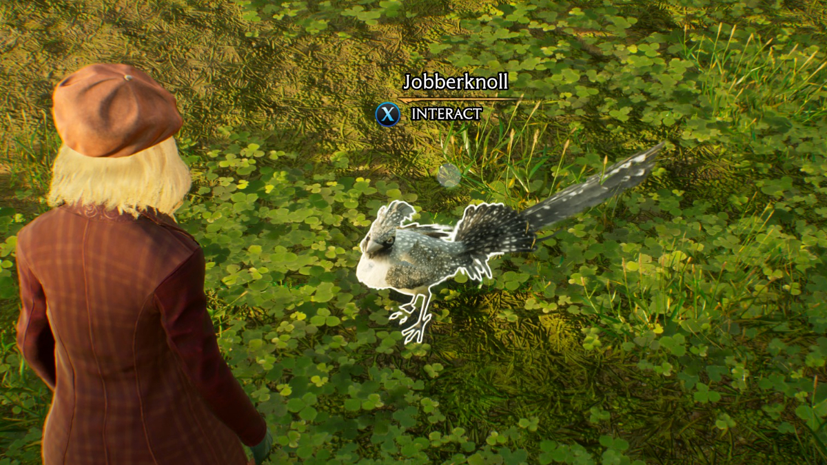 Hogwarts Legacy: All Shiny Beast Colors & How To Get Them - Gamepur