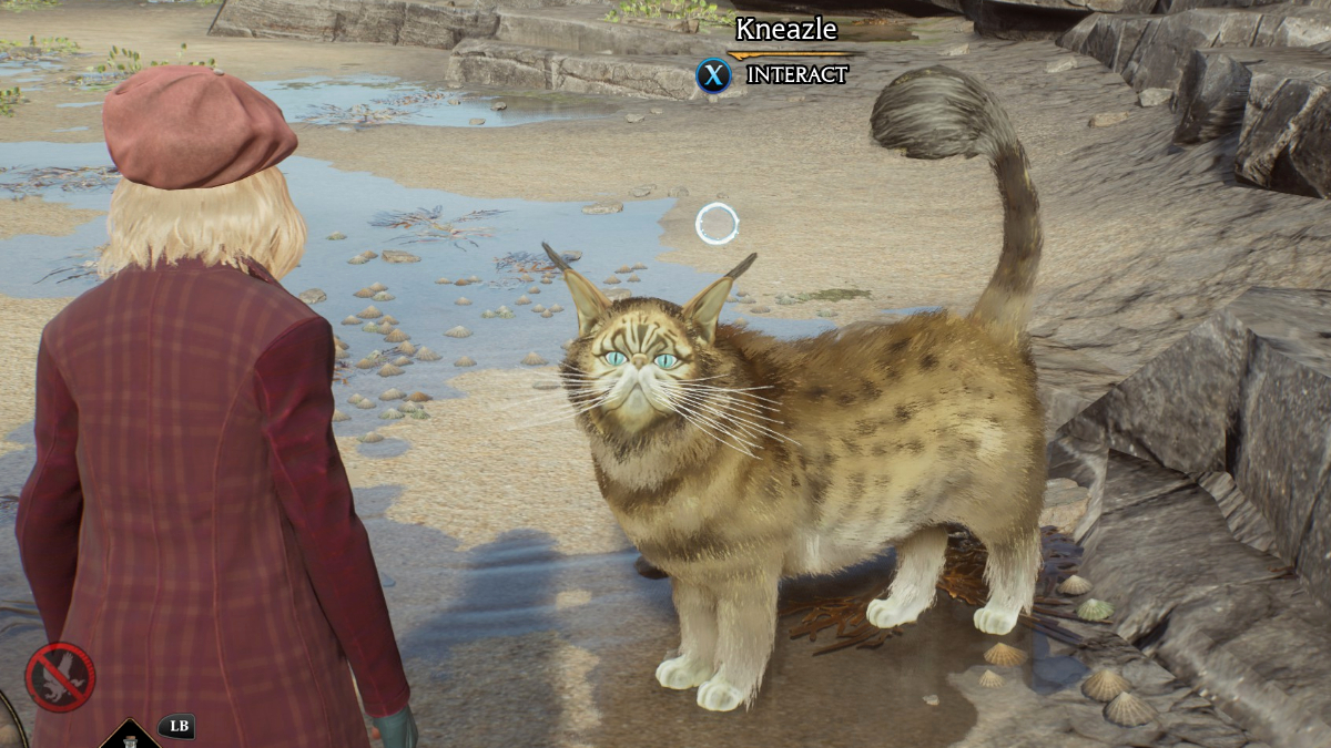 Hogwarts Legacy: All Shiny Beast Colors & How To Get Them - Gamepur