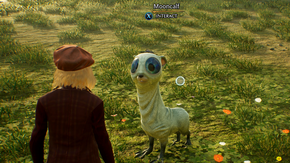 Hogwarts Legacy: All Shiny Beast Colors & How To Get Them - Gamepur