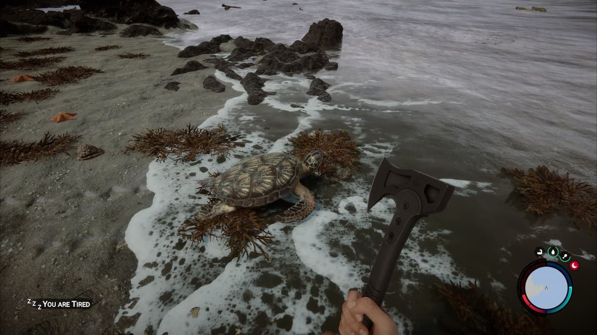 Can you use the Turtle Shell in Sons of the Forest? Answered - Gamepur