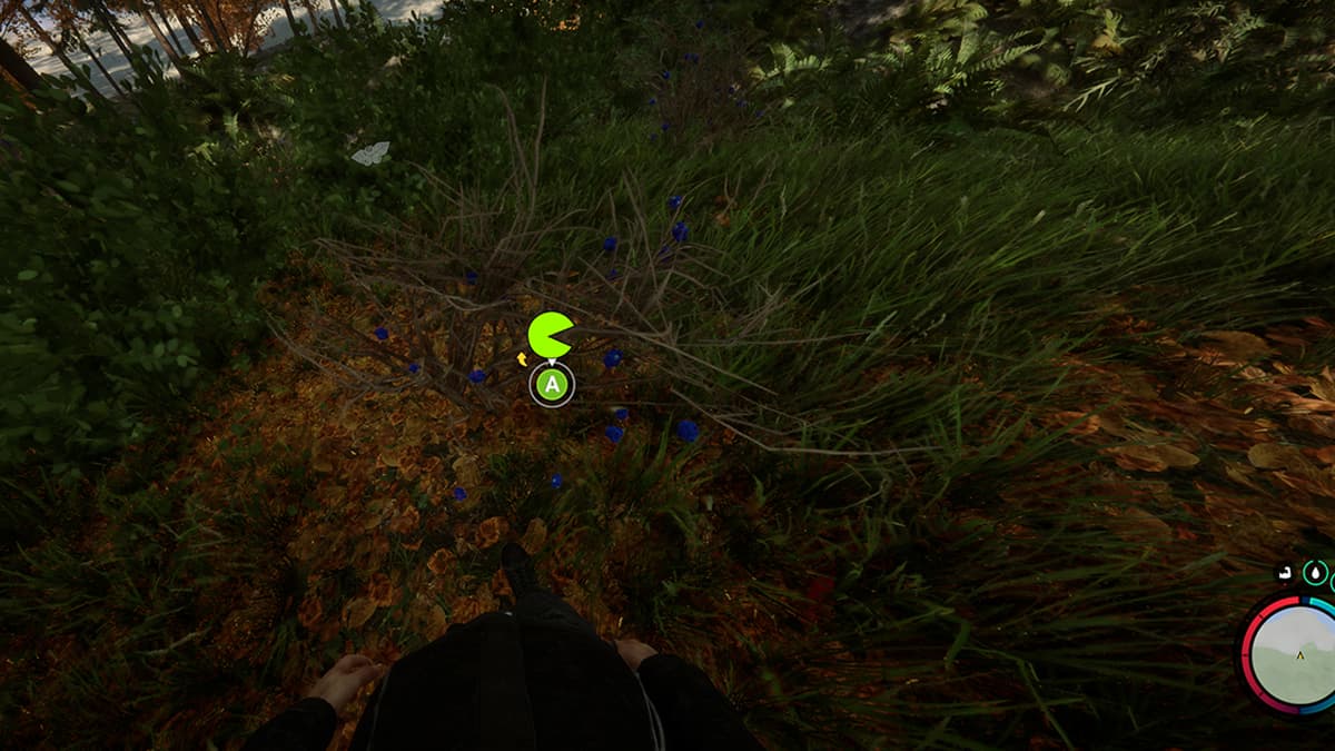 How to set up controller support for Sons of the Forest - Gamepur