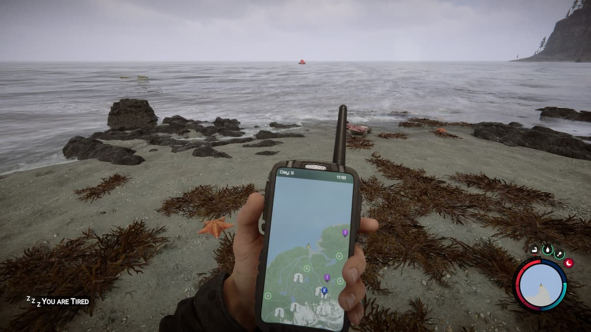 How to find the Raft in Sons of the Forest - Gamepur