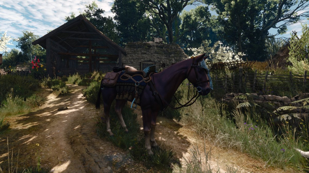 How to get the Ofieri Armor in The Witcher 3 - Gamepur