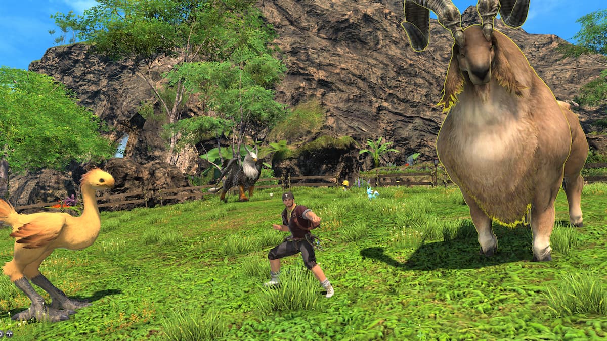 All island sanctuary animal leavings in Final Fantasy XIV and how to get them - Gamepur