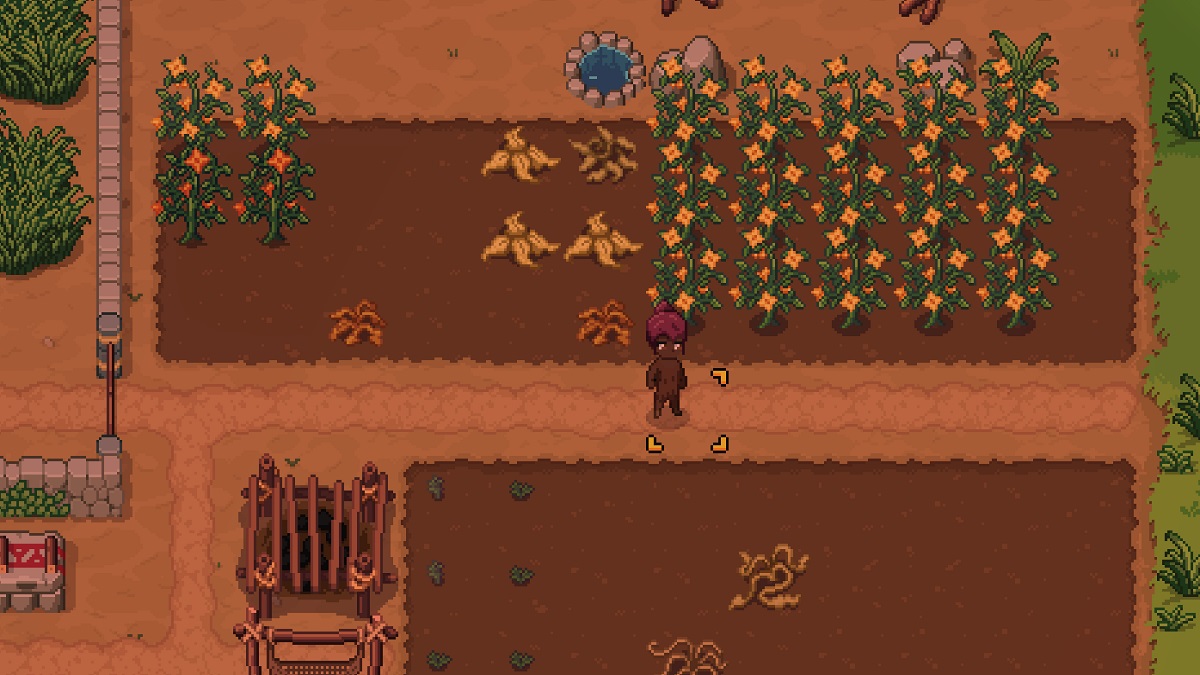 Roots of Pacha - All Seeds & How to Find Them - Gamepur