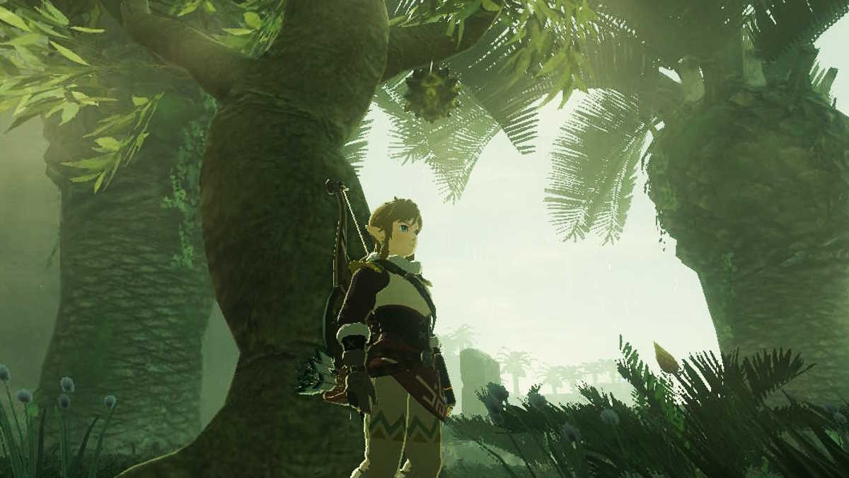 The Legend of Zelda: Breath of the Wild - All Fruit & Where to Find ...