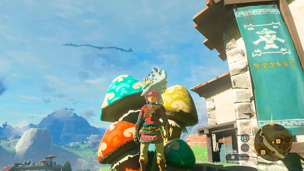 Tears of the Kingdom - How to Get The Cece Hat in TotK