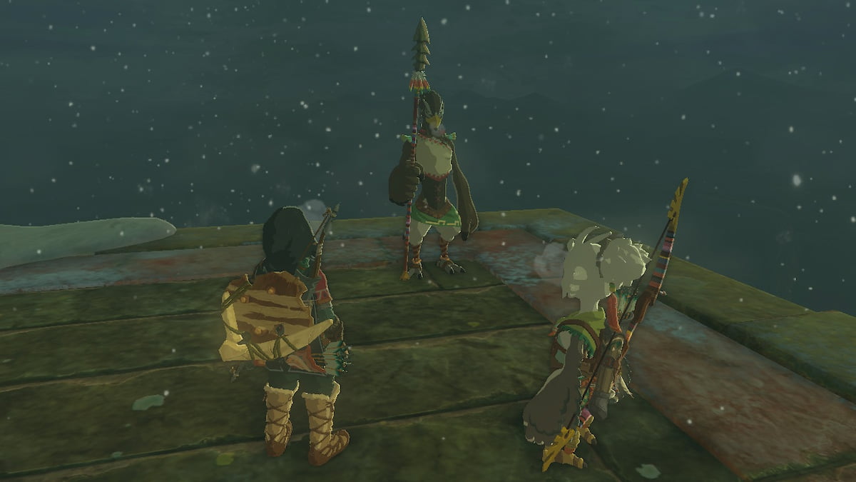 Tears of the Kingdom - Tulin Location on Hebra South Summit in TotK