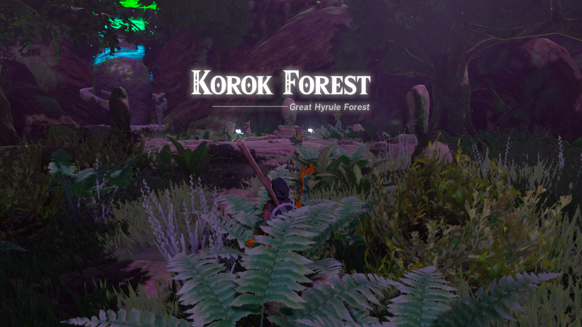 Tears of the Kingdom: How to Find The Korok Forest in TotK