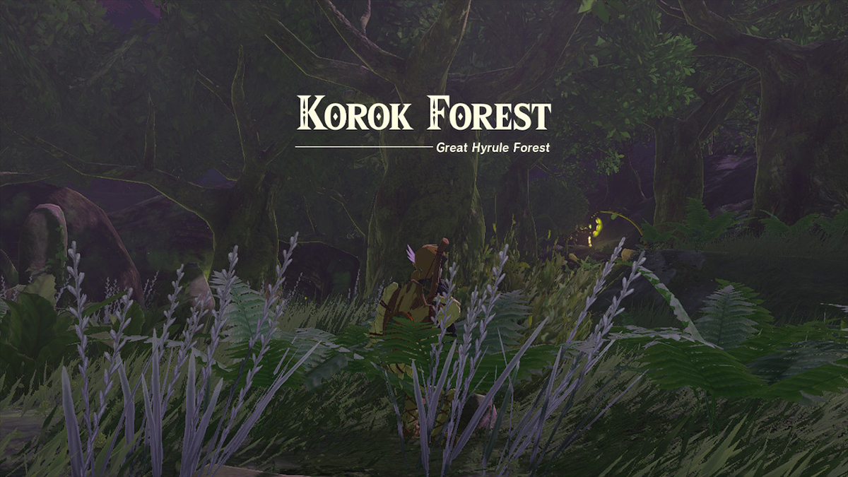 Tears of the Kingdom - How to Find & Enter the Lost Woods - Gamepur