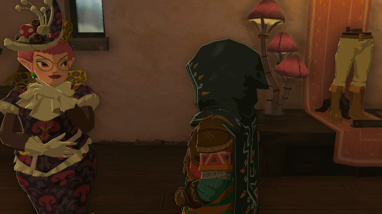 Tears of the Kingdom - How to Put The Hylian Hood Up or Down in TotK