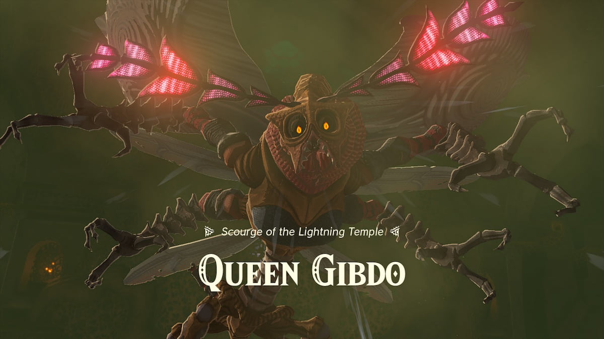 Tears Of The Kingdom - How To Beat Queen Gibdo - Gamepur