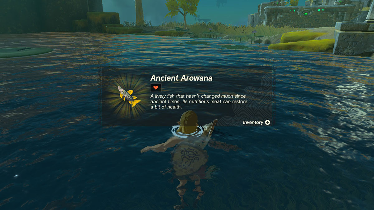 Tears of the Kingdom - All Fish Locations in TotK