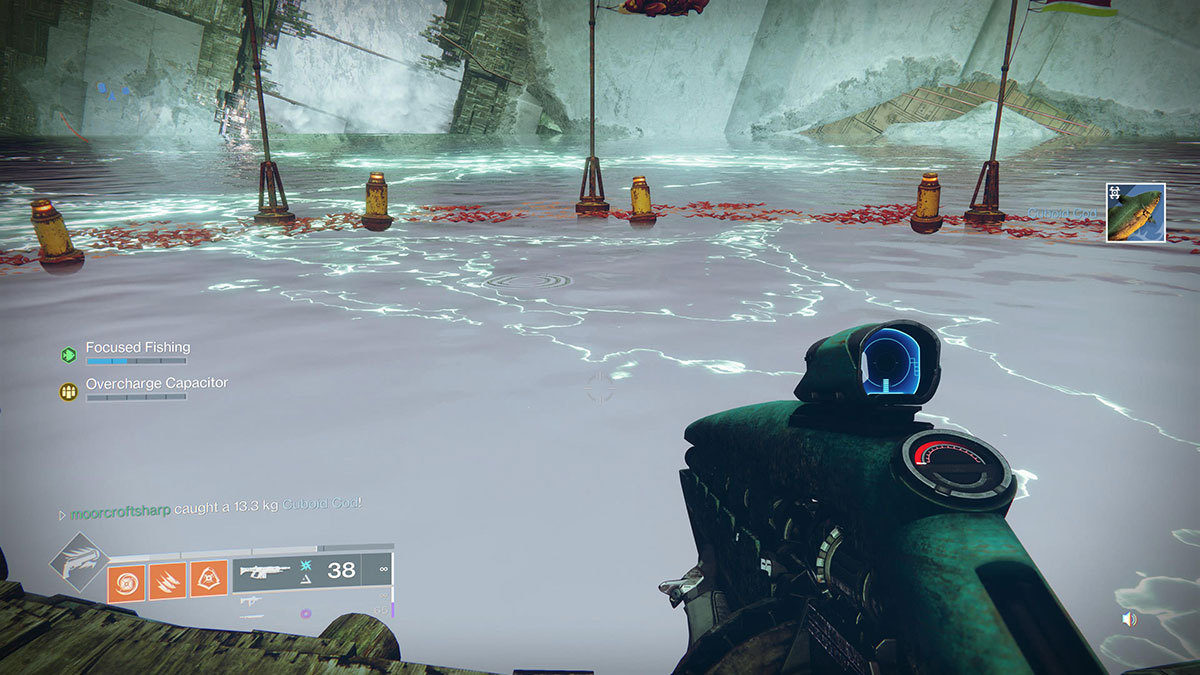 Destiny 2 Fishing Guide: How To Fish, All Locations & Focused Fishing