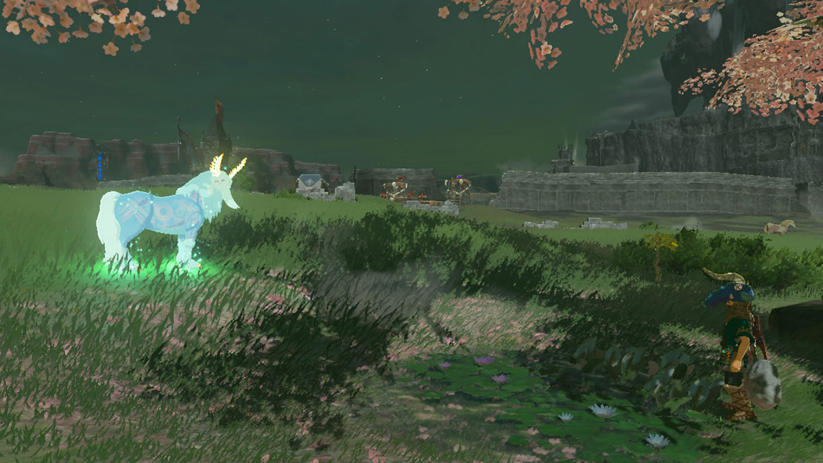 Tears of the Kingdom - How to Summon Satori in TotK