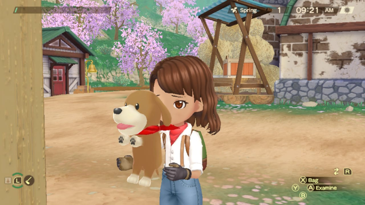 Story of Seasons: A Wonderful Life Remake Dog Guide