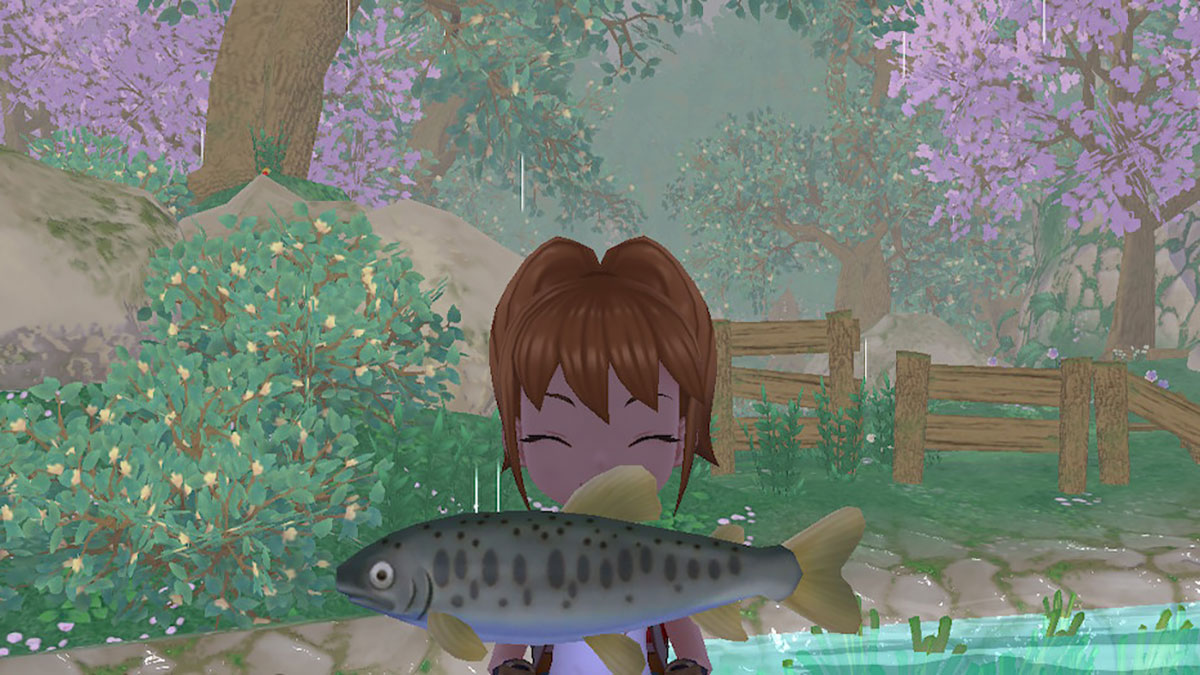 Story of Seasons: A Wonderful Life Remake Fishing Guide