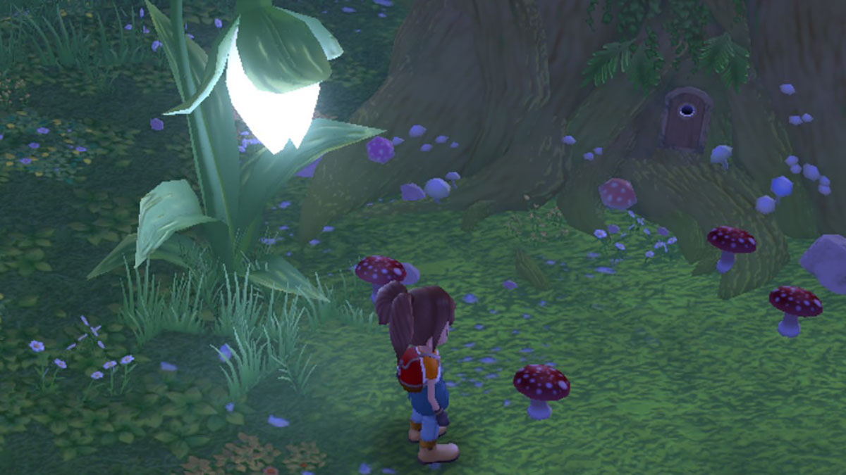 Story of Seasons: A Wonderful Life Remake All Forageables & Uses Guide