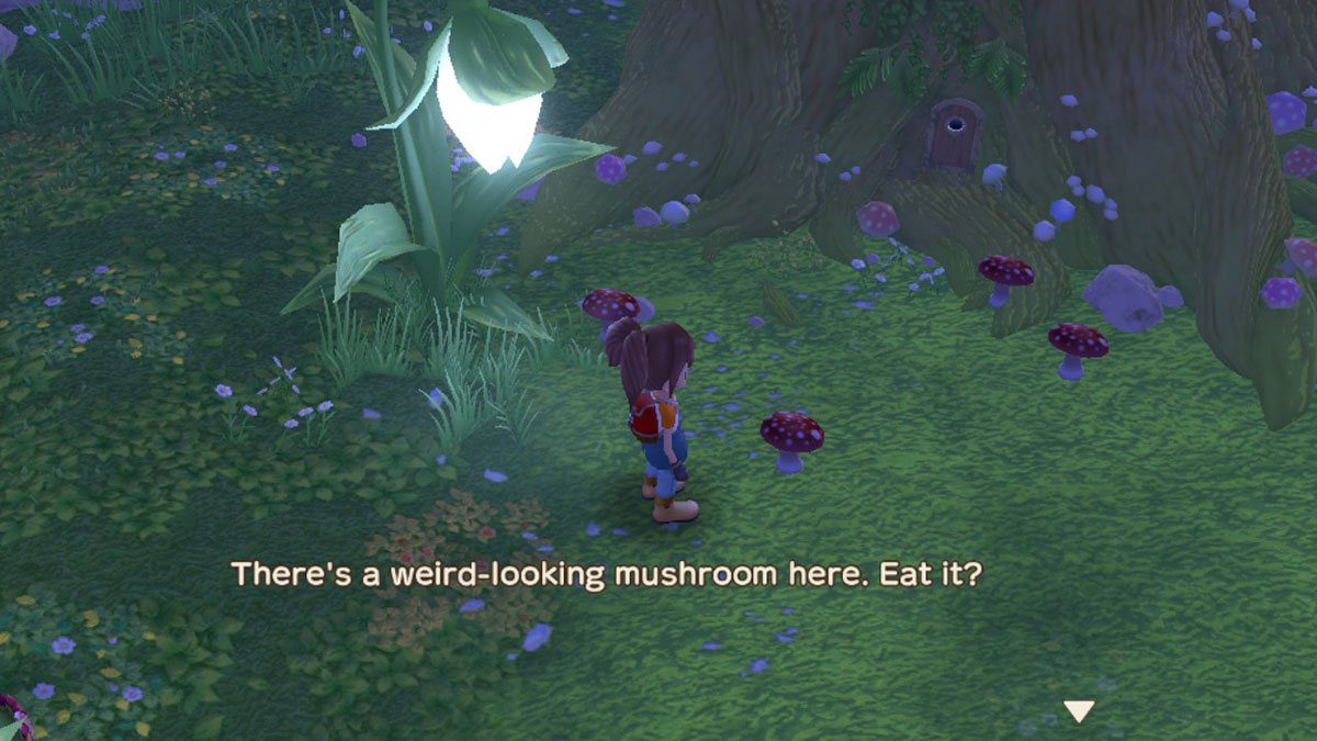 Story of Seasons: A Wonderful Life Remake All Forageables & Uses Guide