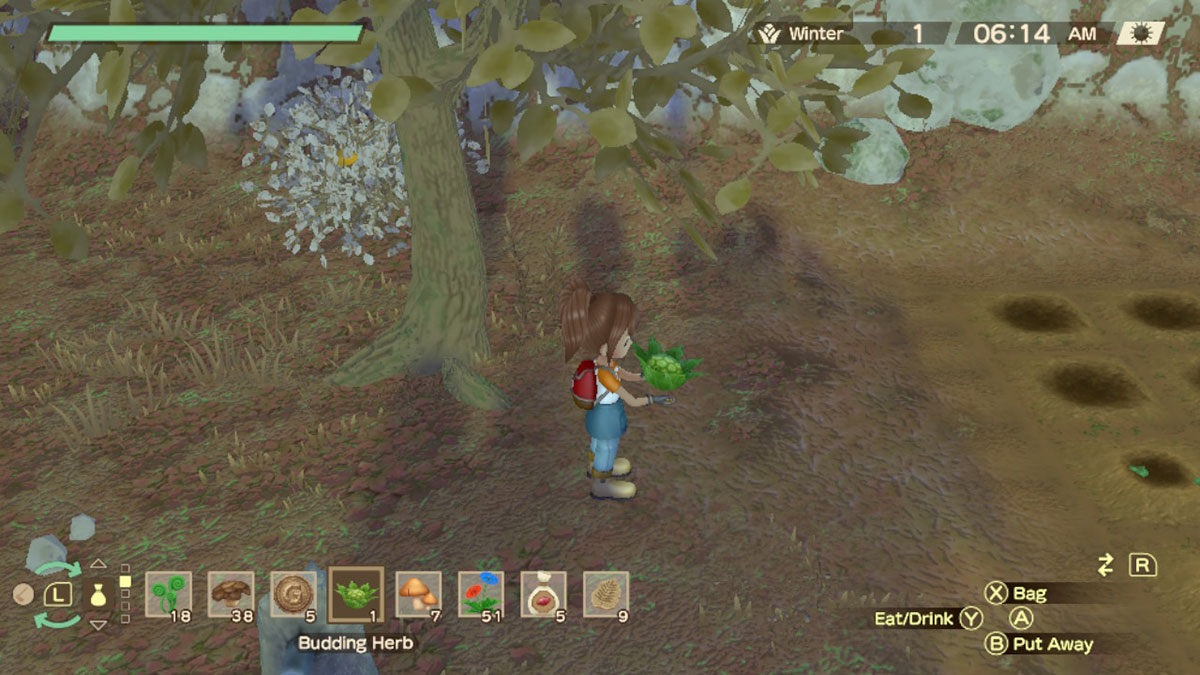 Story of Seasons: A Wonderful Life Remake All Forageables & Uses Guide