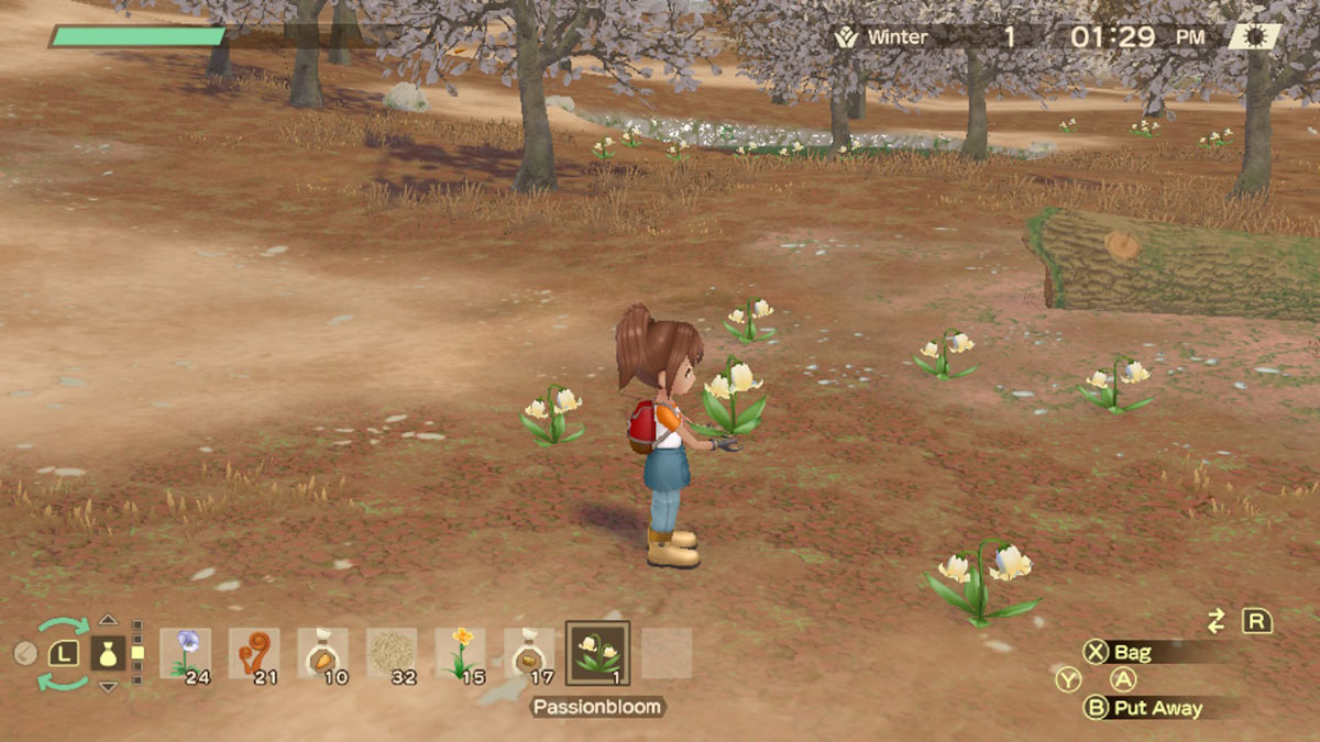 Story of Seasons: A Wonderful Life Remake All Forageables & Uses Guide