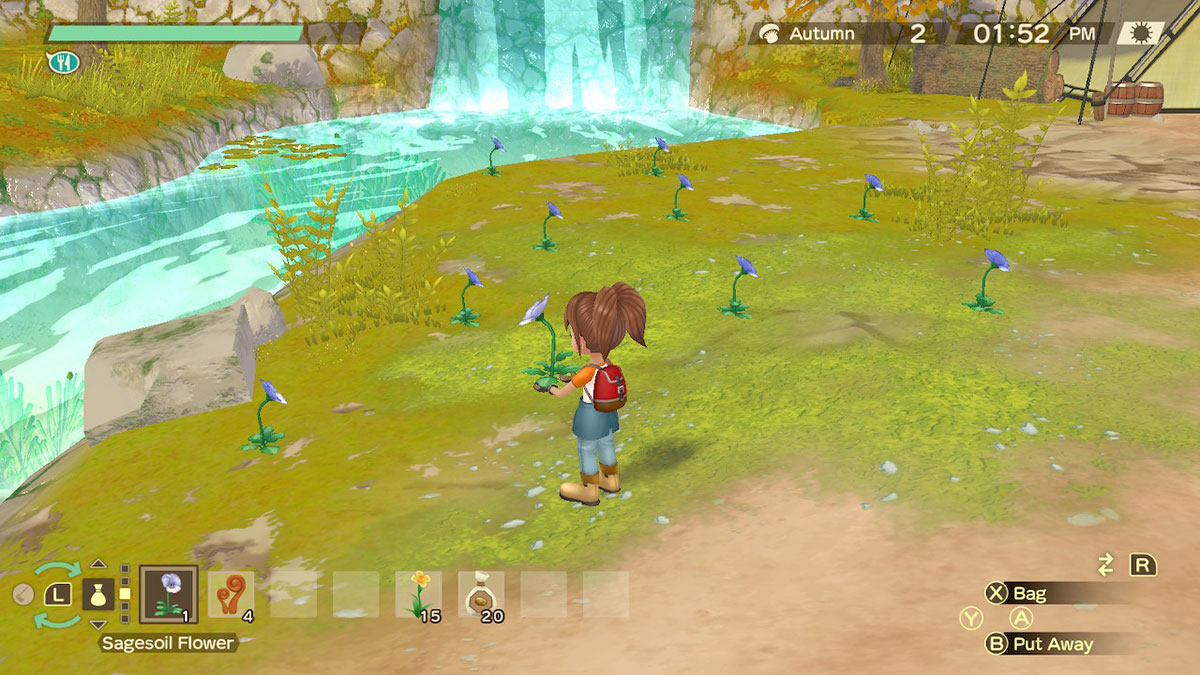 Story of Seasons: A Wonderful Life Remake All Forageables & Uses Guide
