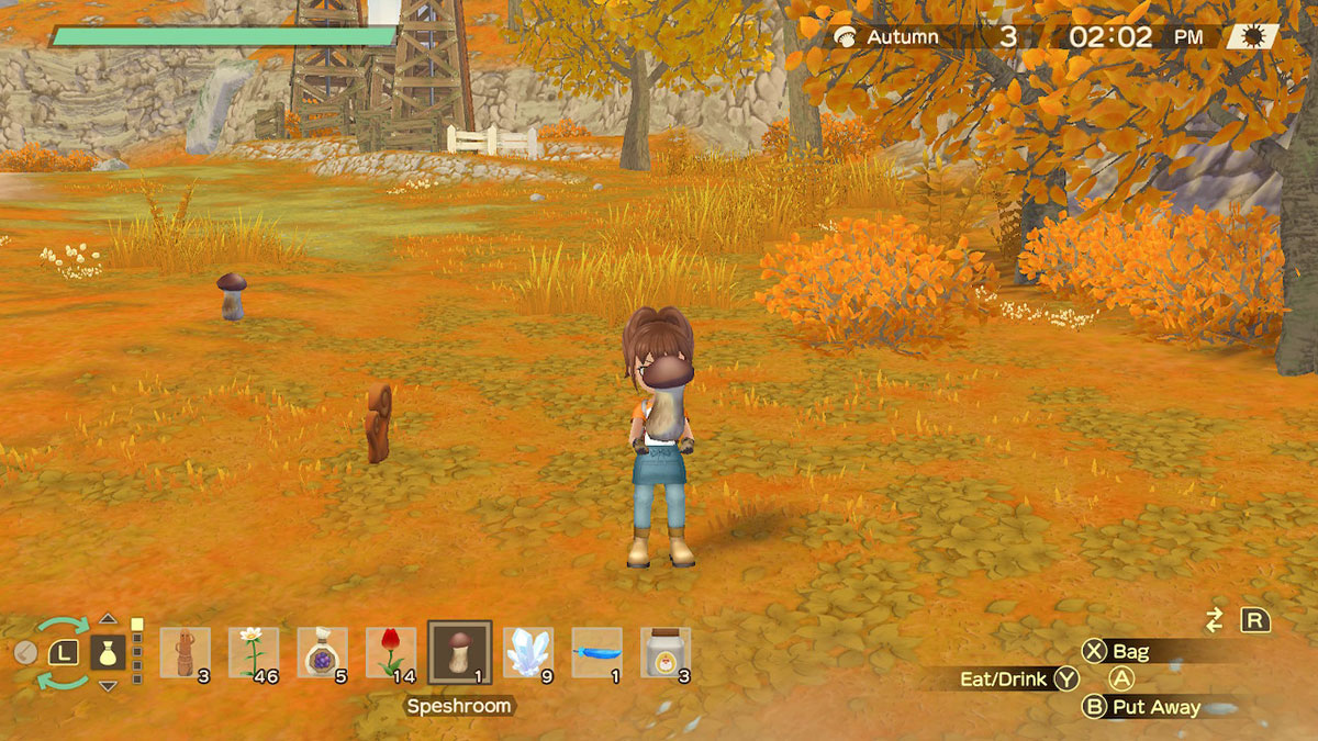 Story of Seasons: A Wonderful Life Remake All Forageables & Uses Guide