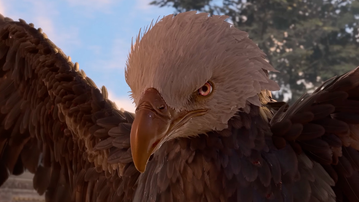 Baldur's Gate 3 - How to Find and Recover the Blue Jay's Nest in BG3