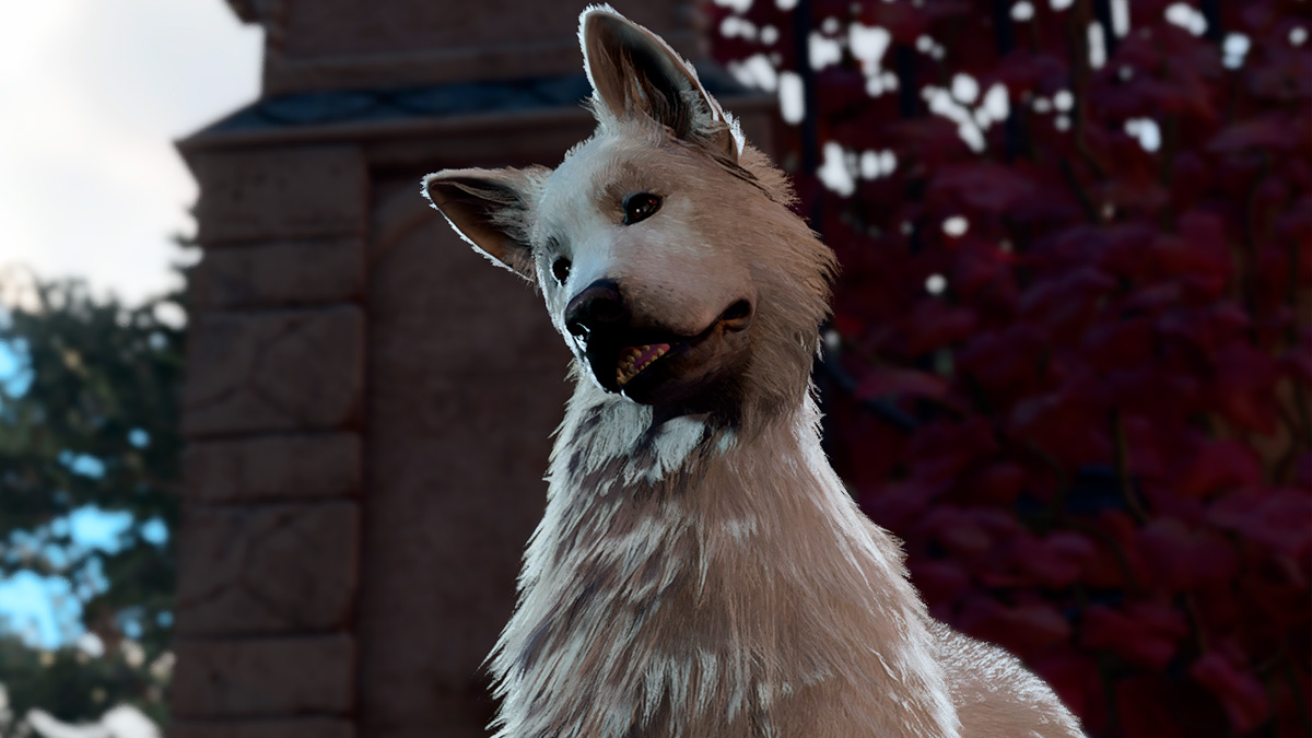 Baldur's Gate 3: Best Speak With Animals Interactions in BG3 - Gamepur