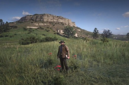 Red Dead Redemption 2 - Gamepur