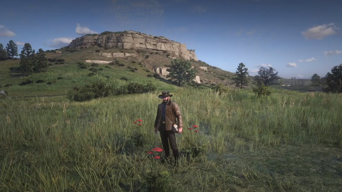 Red Dead Redemption 2: Yarrow Location in RDR2 - Gamepur