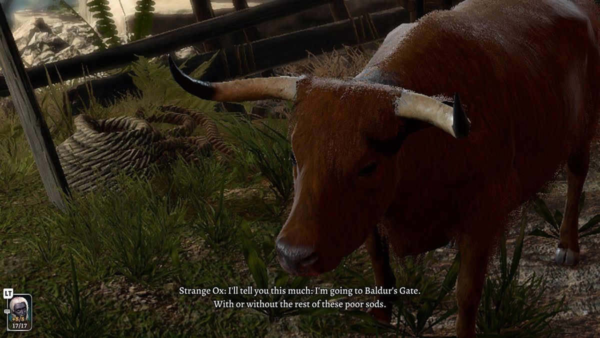 Baldur's Gate 3: What is the Strange Ox - Kill or Spare it in BG3?