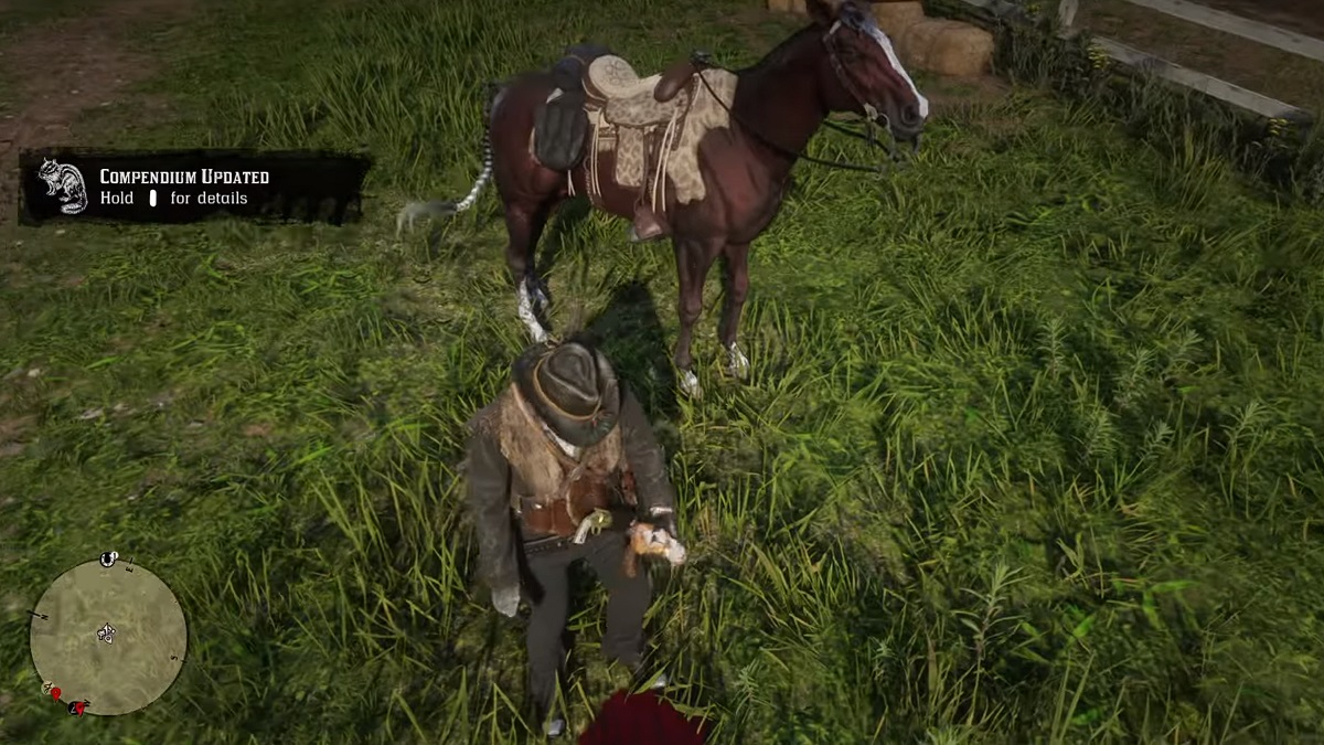 All Hunting Request Locations in Red Dead Redemption 2 - It's Art ...