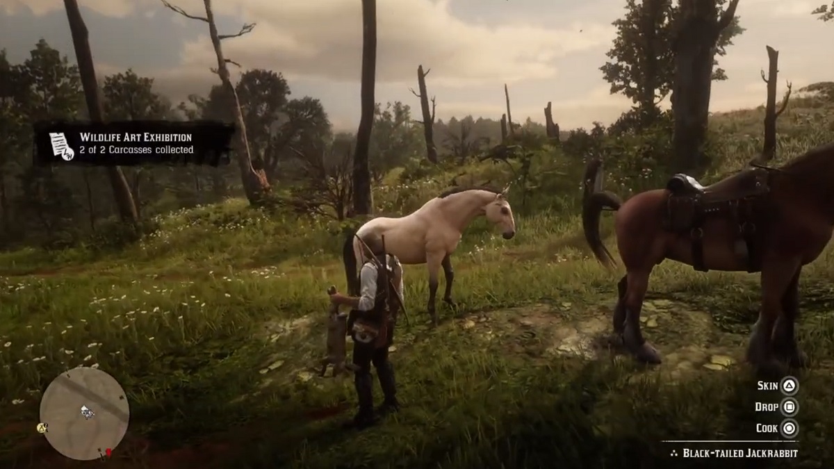 All Hunting Request Locations in Red Dead Redemption 2 - It's Art ...