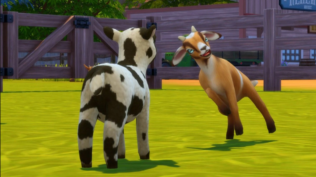 The Sims 4 - How To Get The Goat in Horse Ranch DLC - Gamepur