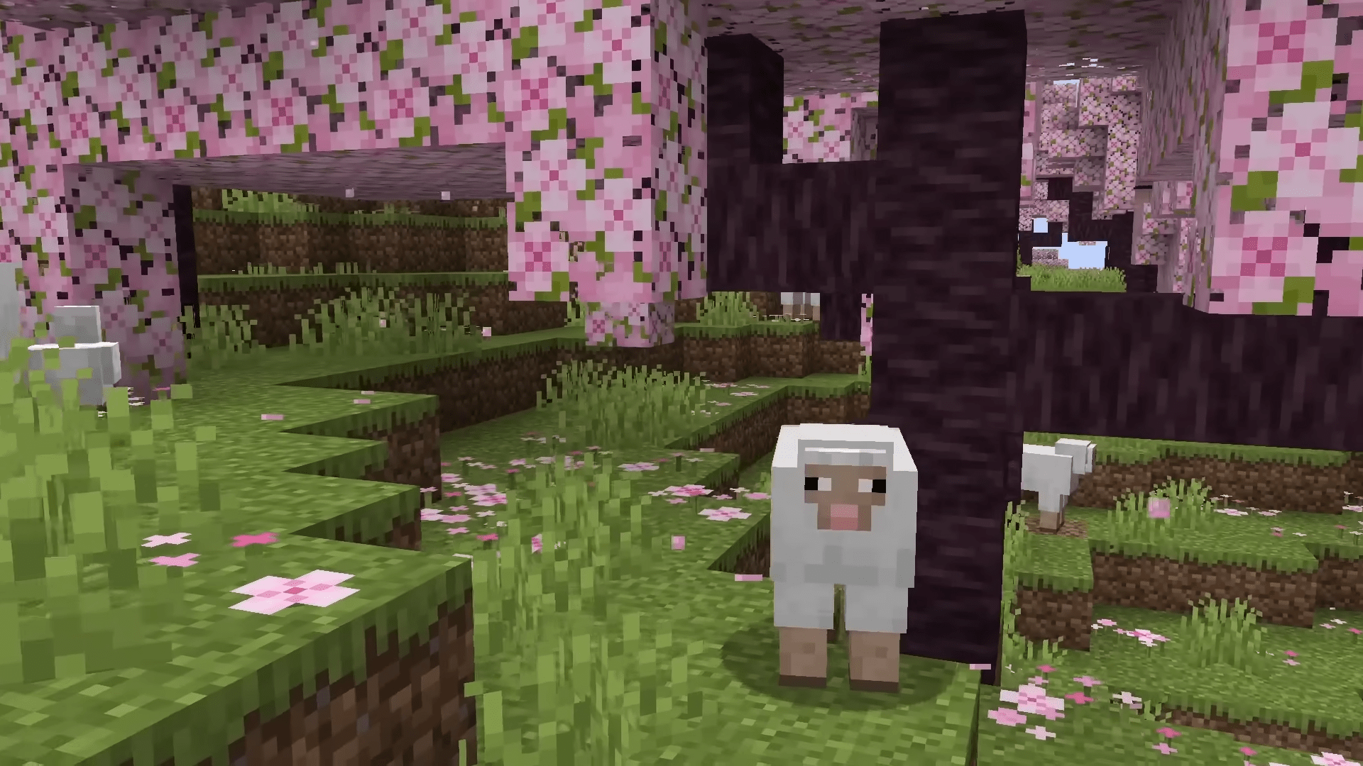 Minecraft: Топ-10 лучших сидов для Minecraft 1.20.15 - NexusMoD.RU