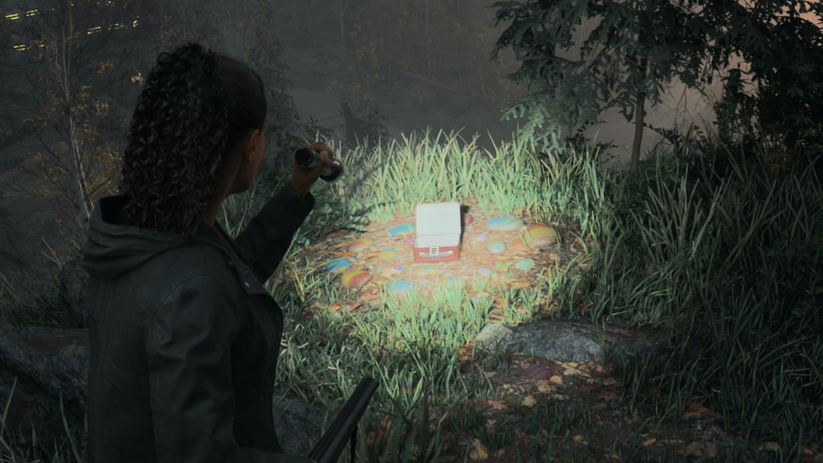 All Lunch Box Locations at Watery in Alan Wake 2 - Gamepur