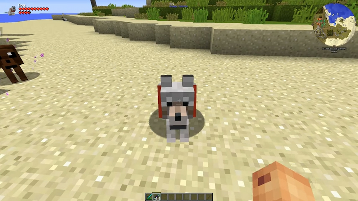 Top 10 Minecraft Dog Mods That Pair Perfectly With Armadillos Update ...