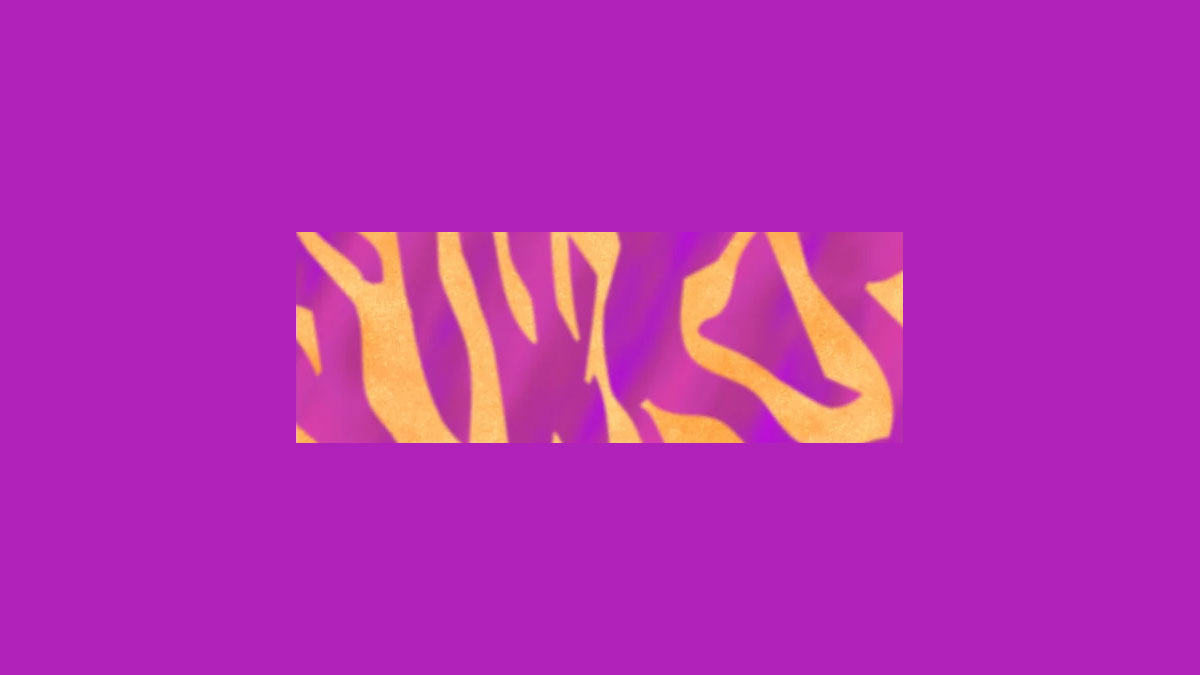 How To Get The Royalty Tiger Camo In CoD: MW3