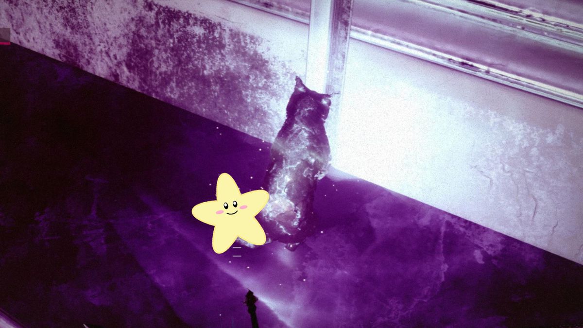 All Starcat Locations in Destiny 2: Season of the Wish