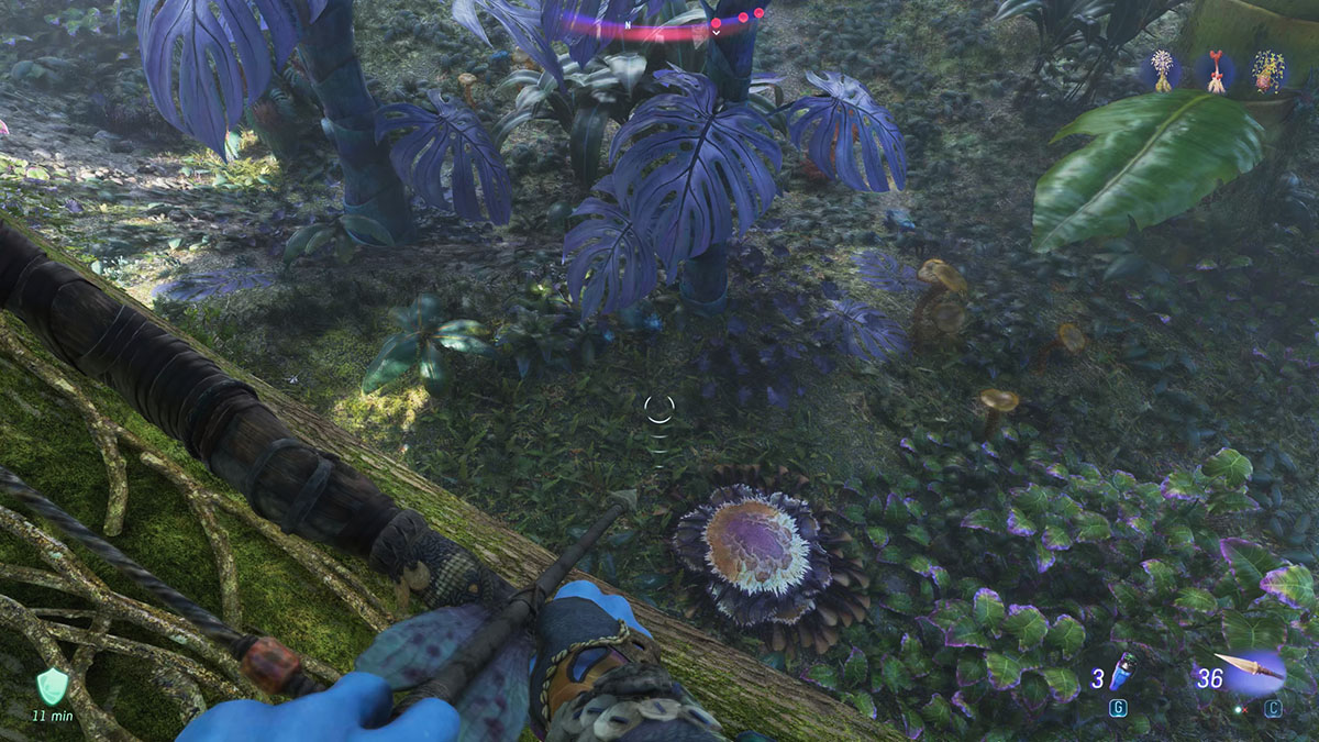 How to Get Fortune's Fruit in Avatar: Frontiers of Pandora - Gamepur