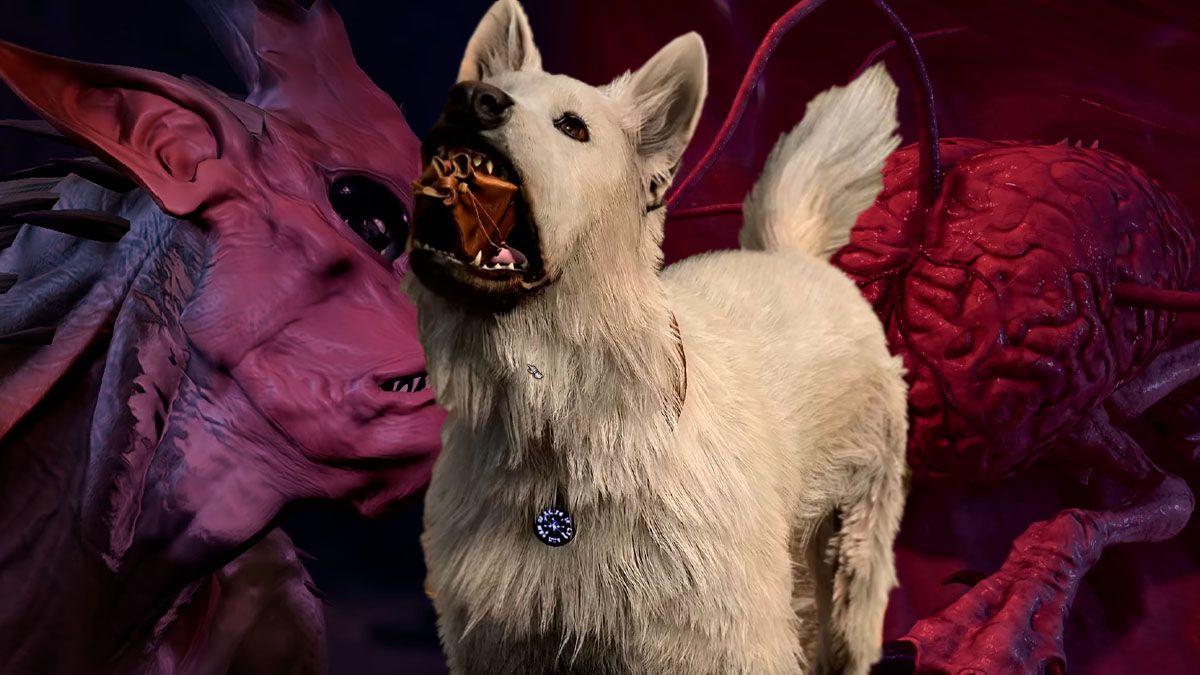 All Pet Summons in Baldur’s Gate 3 & How to Get Them - Gamepur