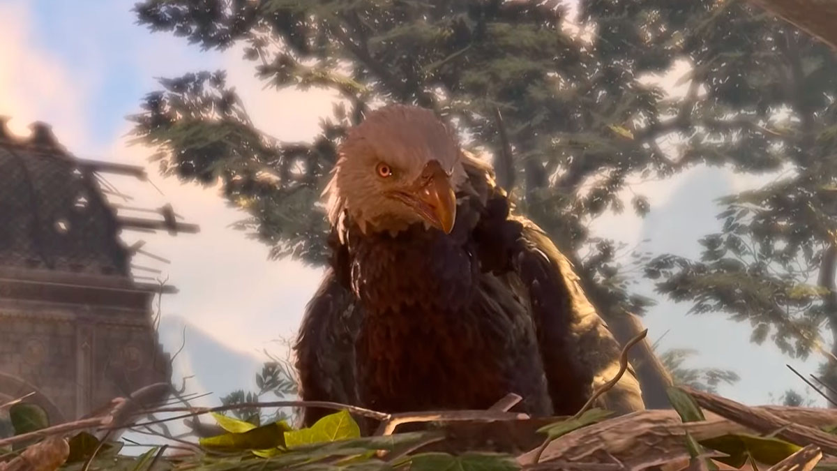 Baldur's Gate 3 - How to Find and Recover the Blue Jay's Nest in BG3