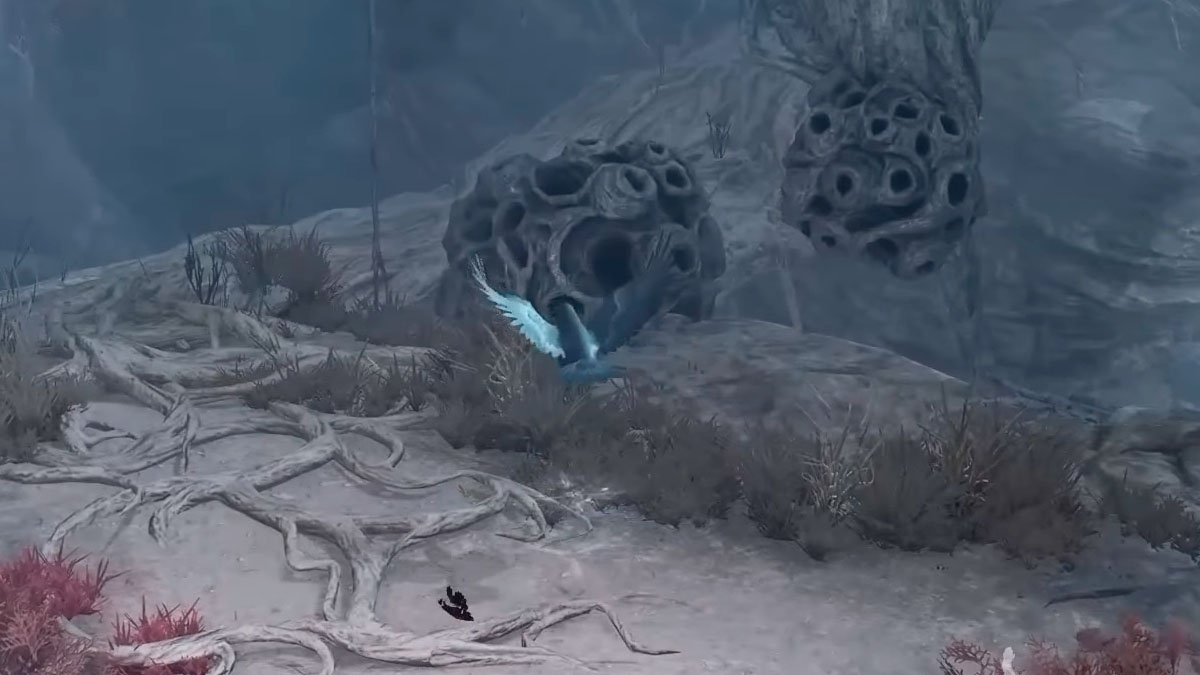 All Pet Summons in Baldur’s Gate 3 & How to Get Them - Gamepur