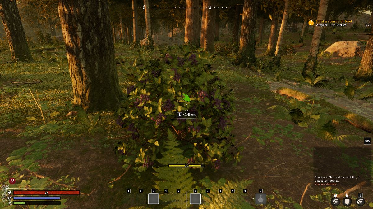 Best Starter Biome in Nightingale: Swamp, Forest or Desert? - Gamepur