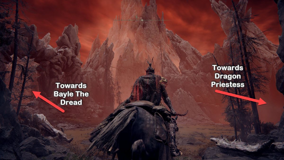 How to Transform Into A Dragon In Shadow Of The Erdtree - Gamepur