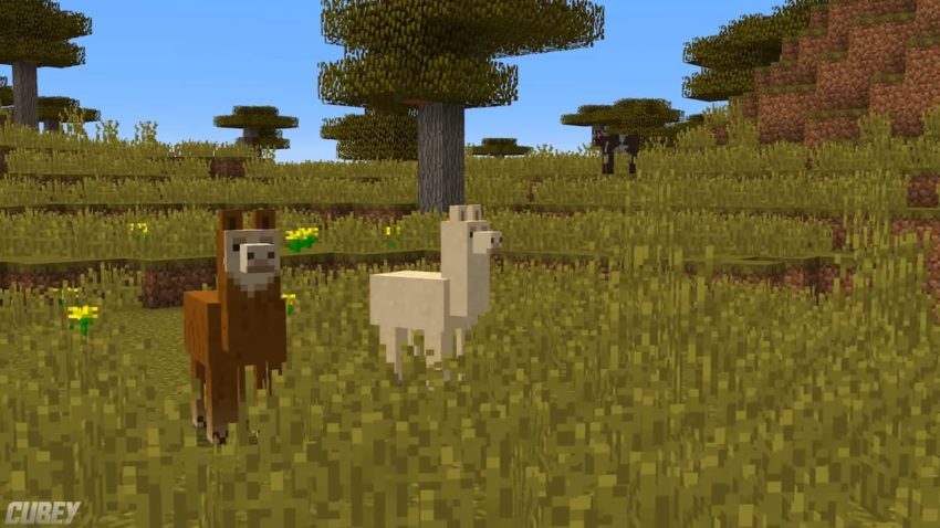 What do llamas eat in Minecraft? - Gamepur
