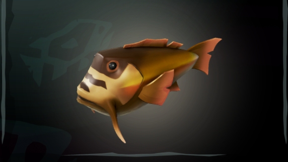 How to catch all Wildsplashes in Sea of Thieves - Gamepur